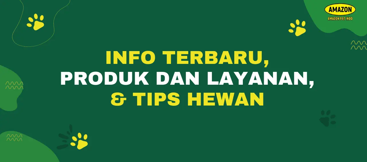 Blog - Amazon Pet Indo