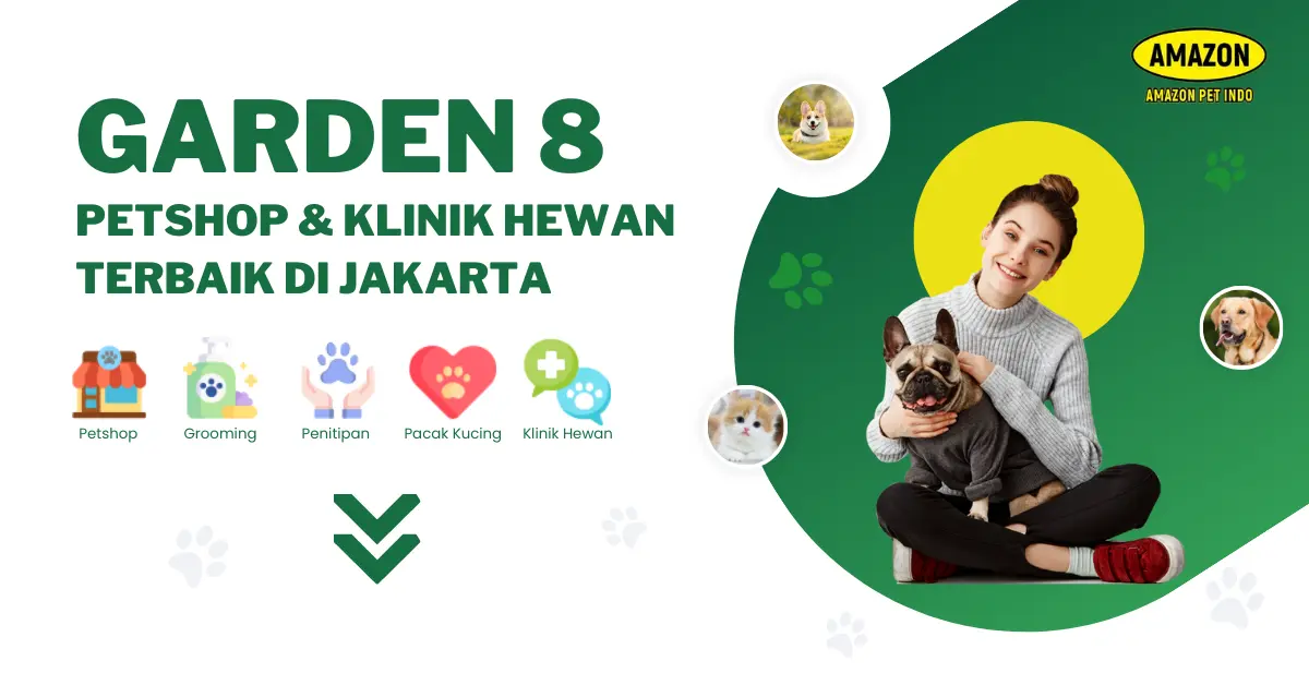 Sayang Anabul 8: Petshop dan Klinik Hewan Terbaik di Jakarta
